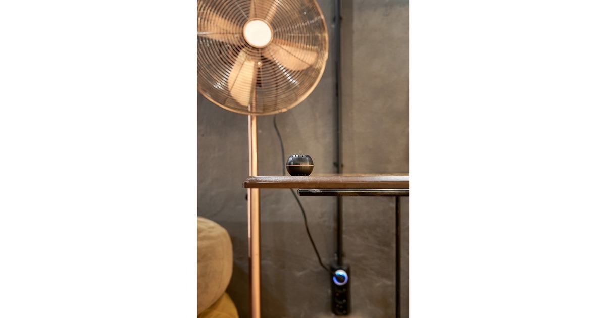 Shelly H&T temperatuur- en vochtmeter Zwart, Wifi