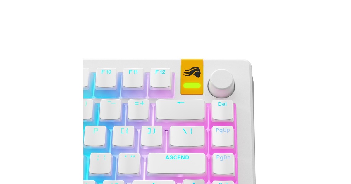 Glorious Aura V3 RGB Keycaps Wit, Pudding-style keycaps, Double Shot ...
